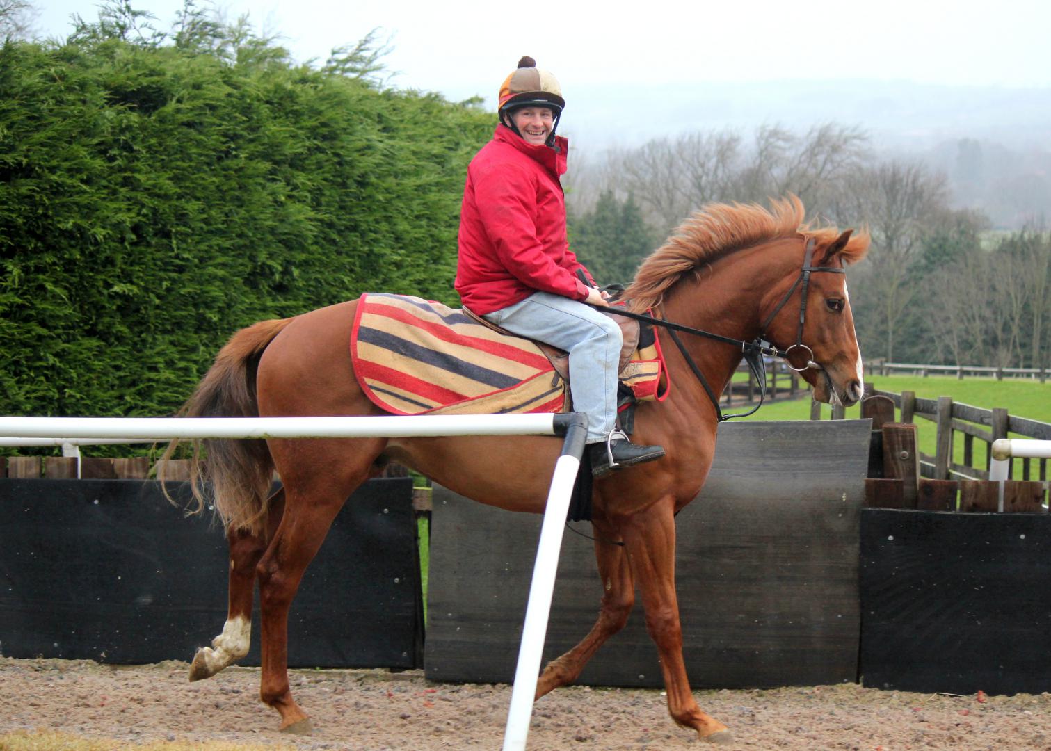 Racehorse Trainer | 2 year old horse in training | Ann Duffield