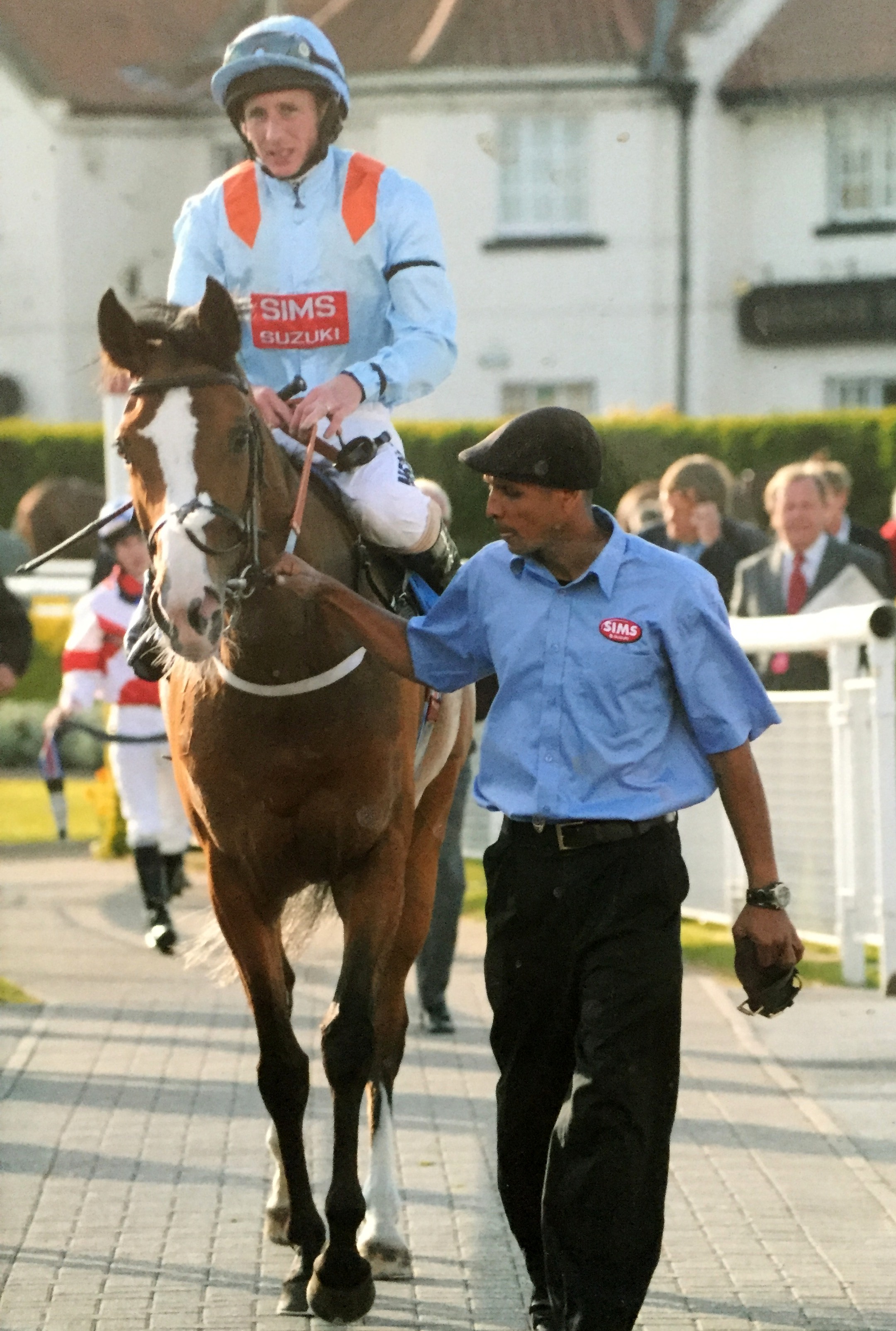 Ann Duffield Racing | Old Favourite Race Horses From Our Yard