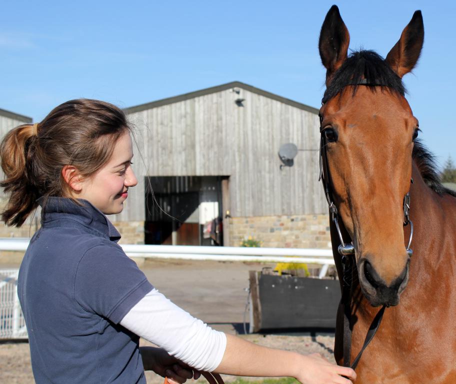 Ann Duffield Racing | The Team At Sun Hill Racing Stables